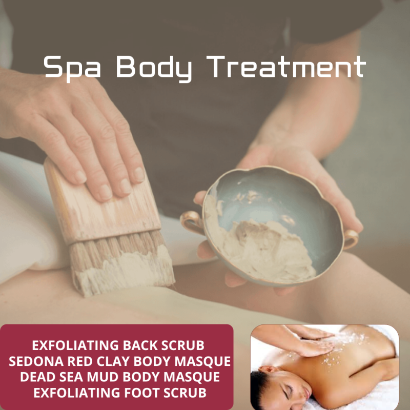 Spa Treatment + Massage (Back Scrub & Back Masque with clay) – Massage ...